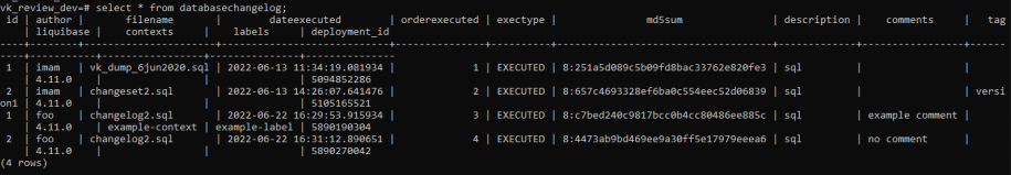 How to use Liquibase with PostgreSQL - Bufisa Global Datatech